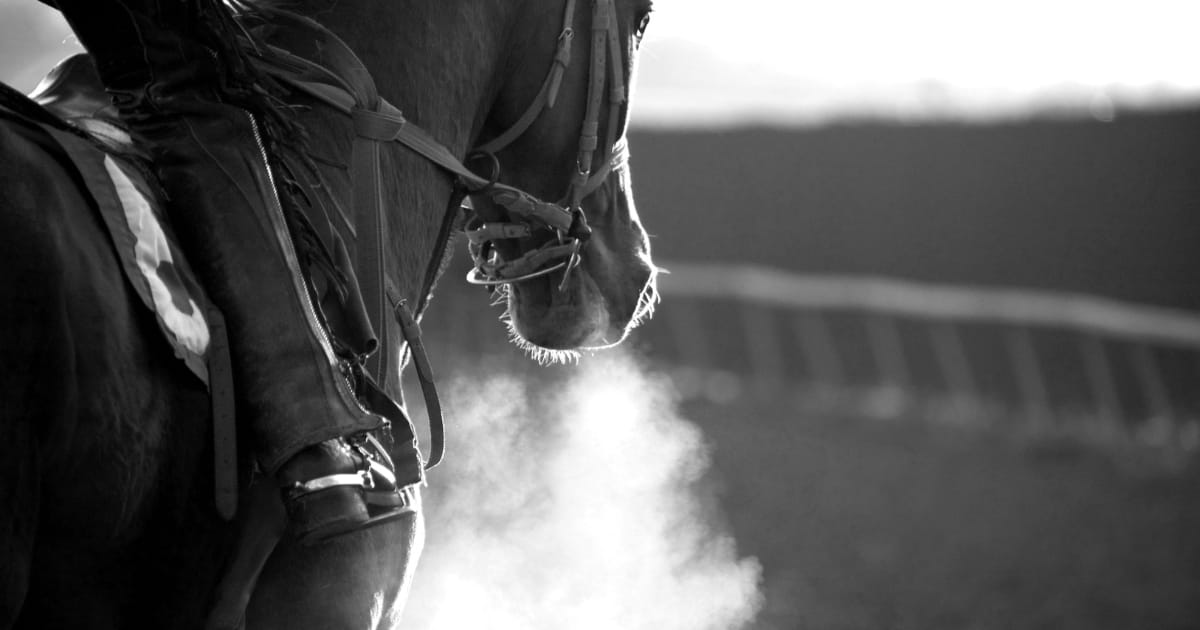 Everything you need to know about the Flemington track